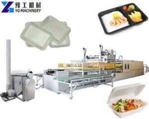 Paper Lunch Box Making Machine/Plastic Food Container Machine