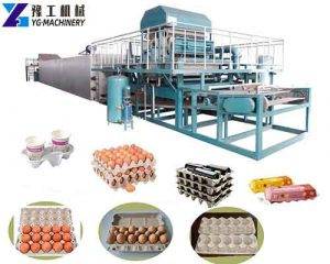 Egg Tray Making Machine | Paper Egg Tray Forming Machine YG